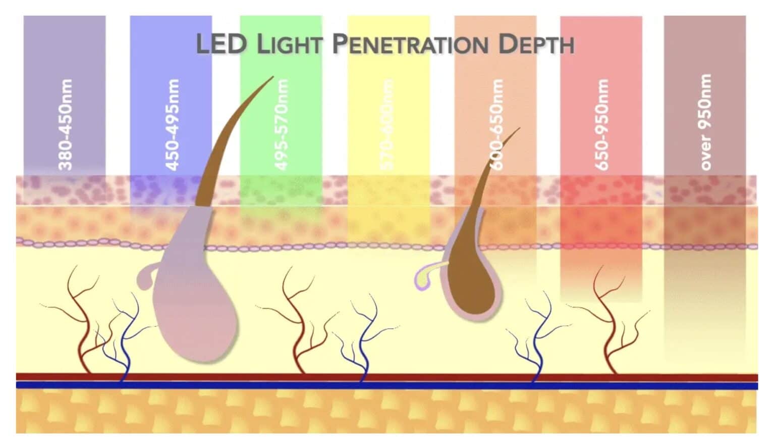 Cleopatra LED Mask: Official Website